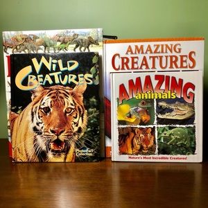 Other | Childrens Animal Hardcover Books Set Of 4 | Poshmark